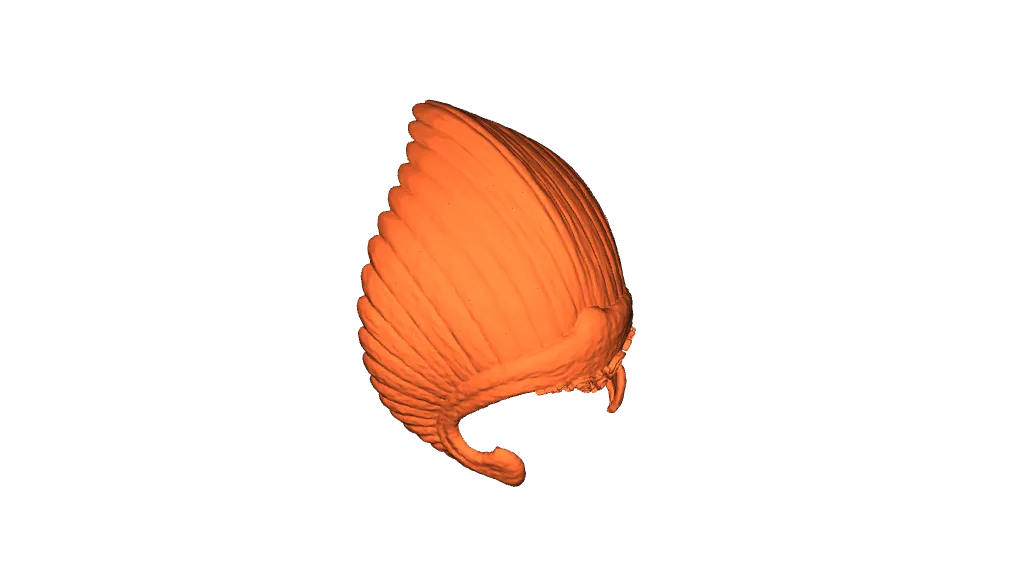 Bone Crown by Peter Farell | Download free STL model | Printables.com