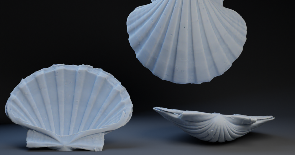 Shell Tray by Peter Farell | Download free STL model | Printables.com