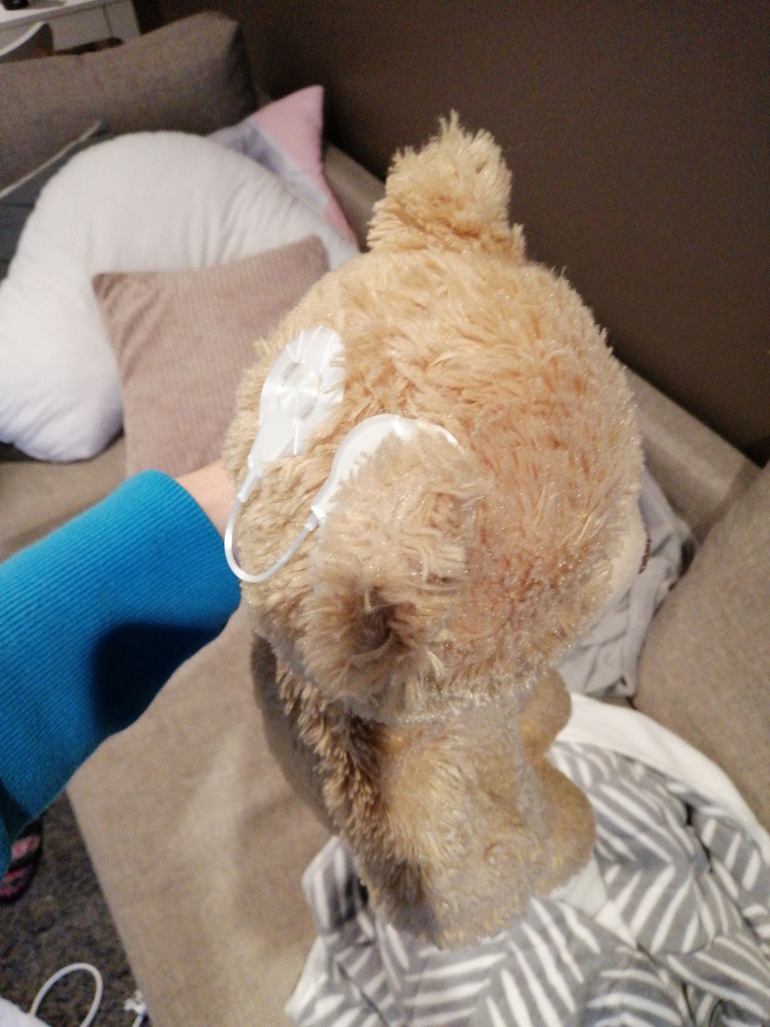 Cochlear Implant Model by Matt | Download free STL model | Printables.com