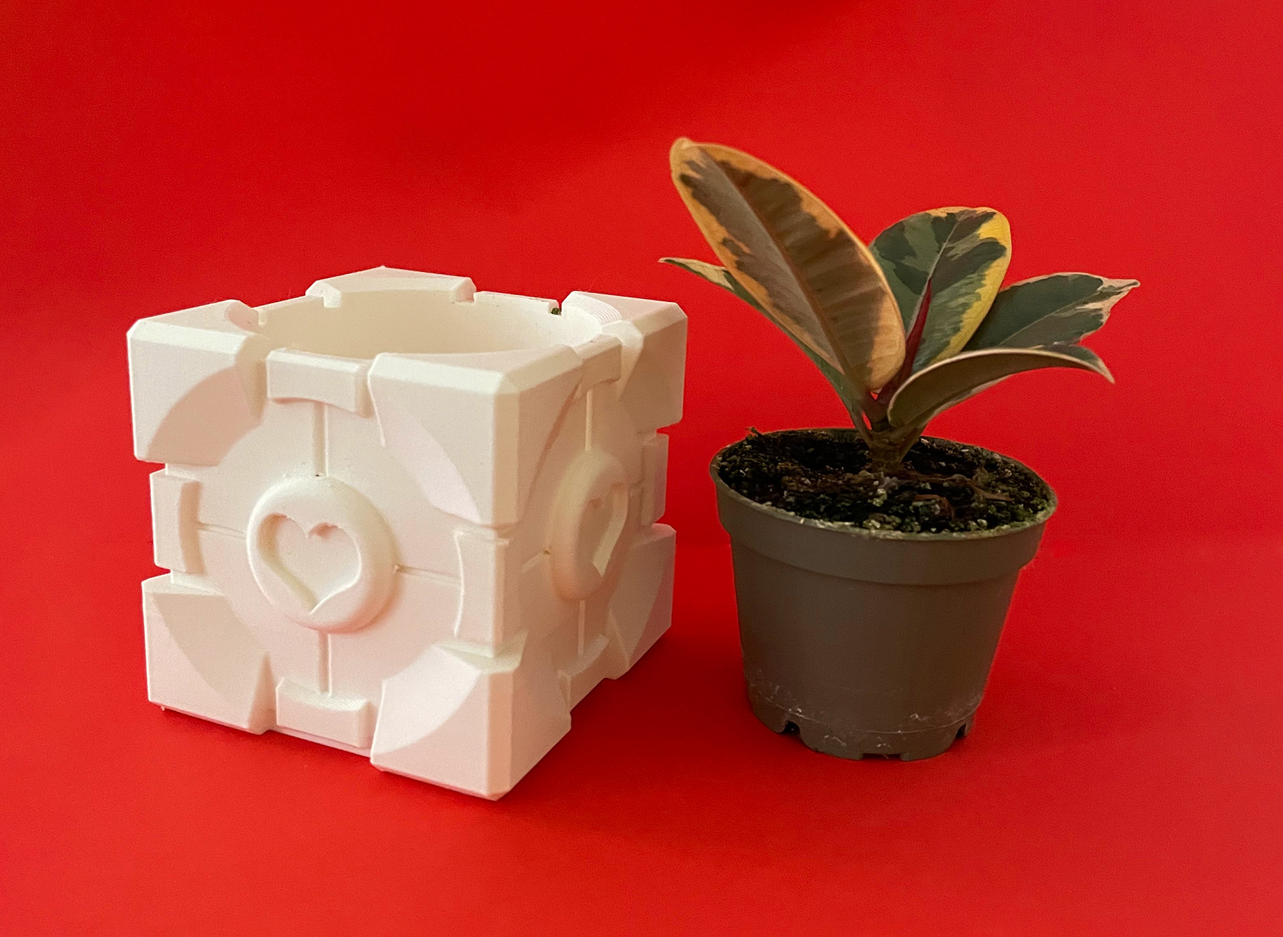 Companion Cube Planter (+ Plant Pot) by Glumanda | Download free STL ...