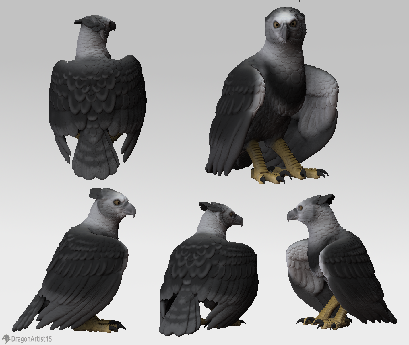 Harpy Eagle Figurine by DragonArtist15 | Download free STL model ...