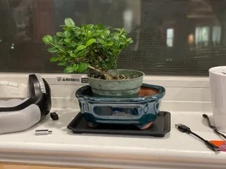 Small Bonsai Humidity Tray by ShameBoy Advance | Download free STL ...