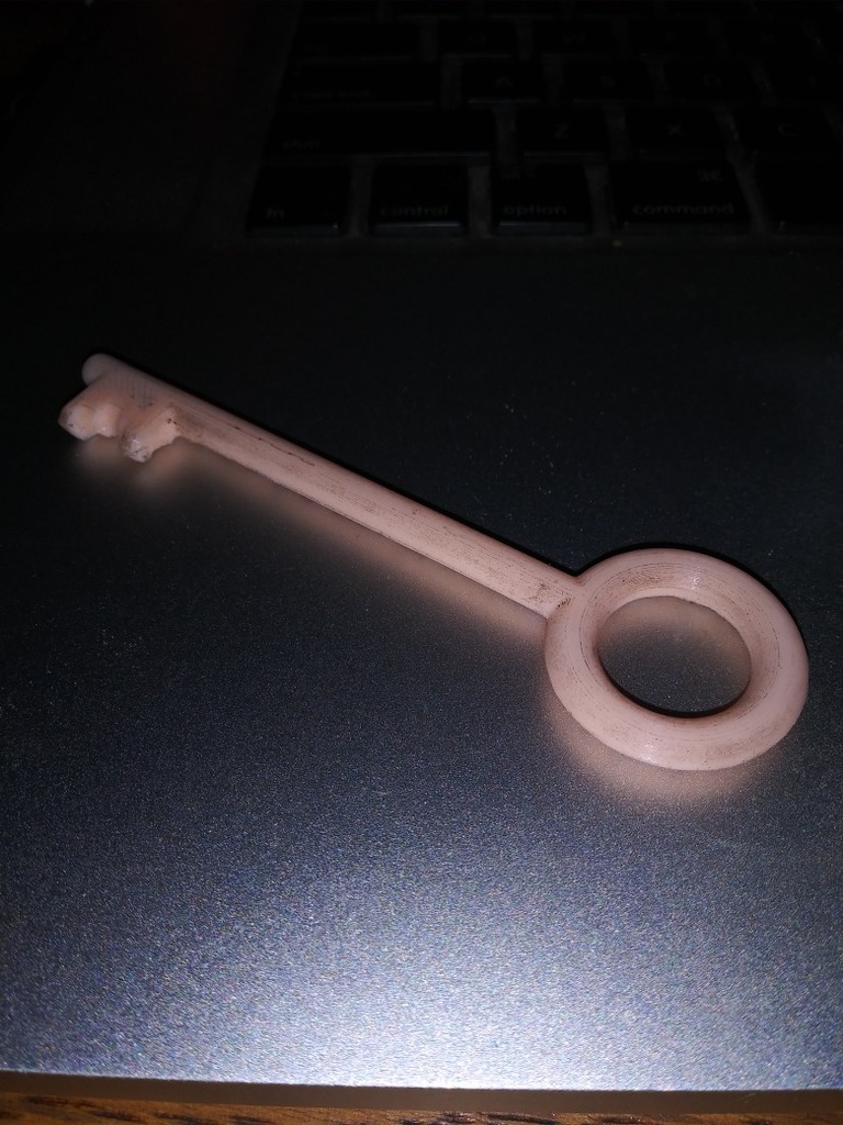 simple skeleton key by IzMr Pickel | Download free STL model ...