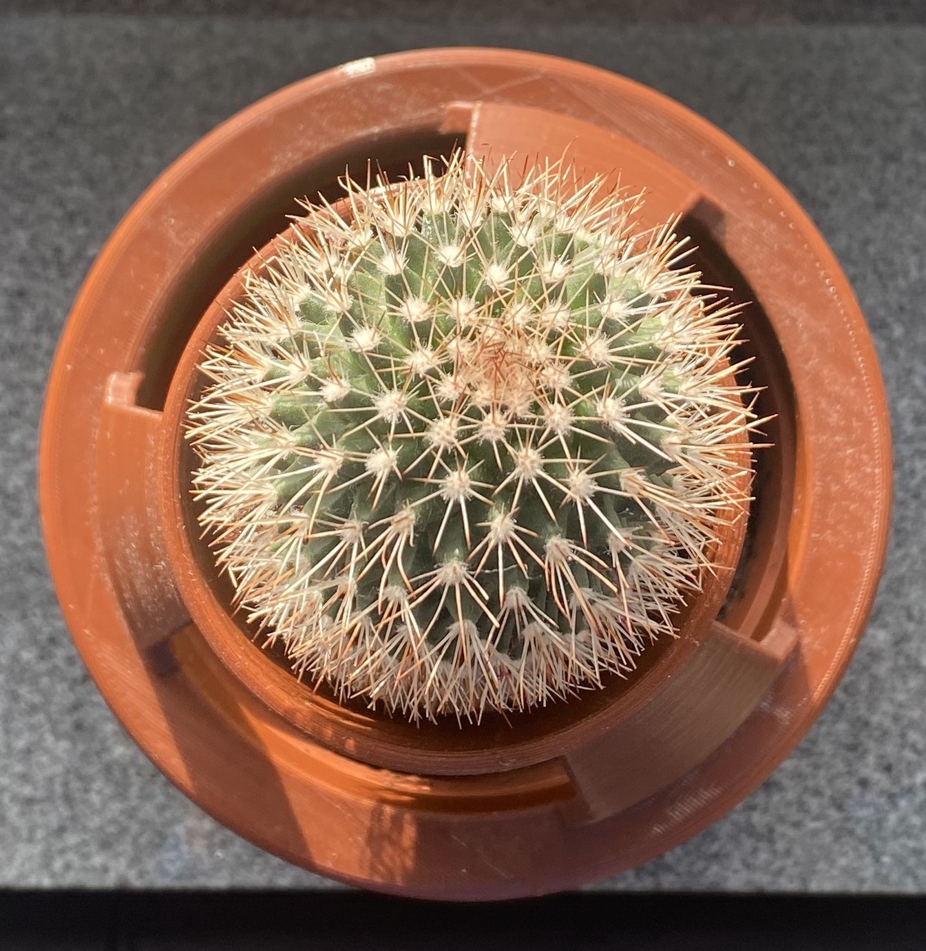 Cactus Stabilizer for Ø 130 mm Pot by Tom Fischer | Download free STL ...