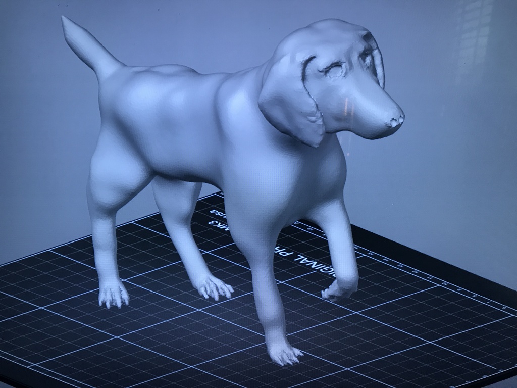 German Shorthair Pointer GSP by Jared | Download free STL model ...