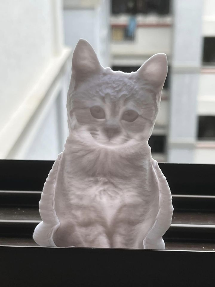 Kitten Lithophane by Eric Chan | Download free STL model | Printables.com