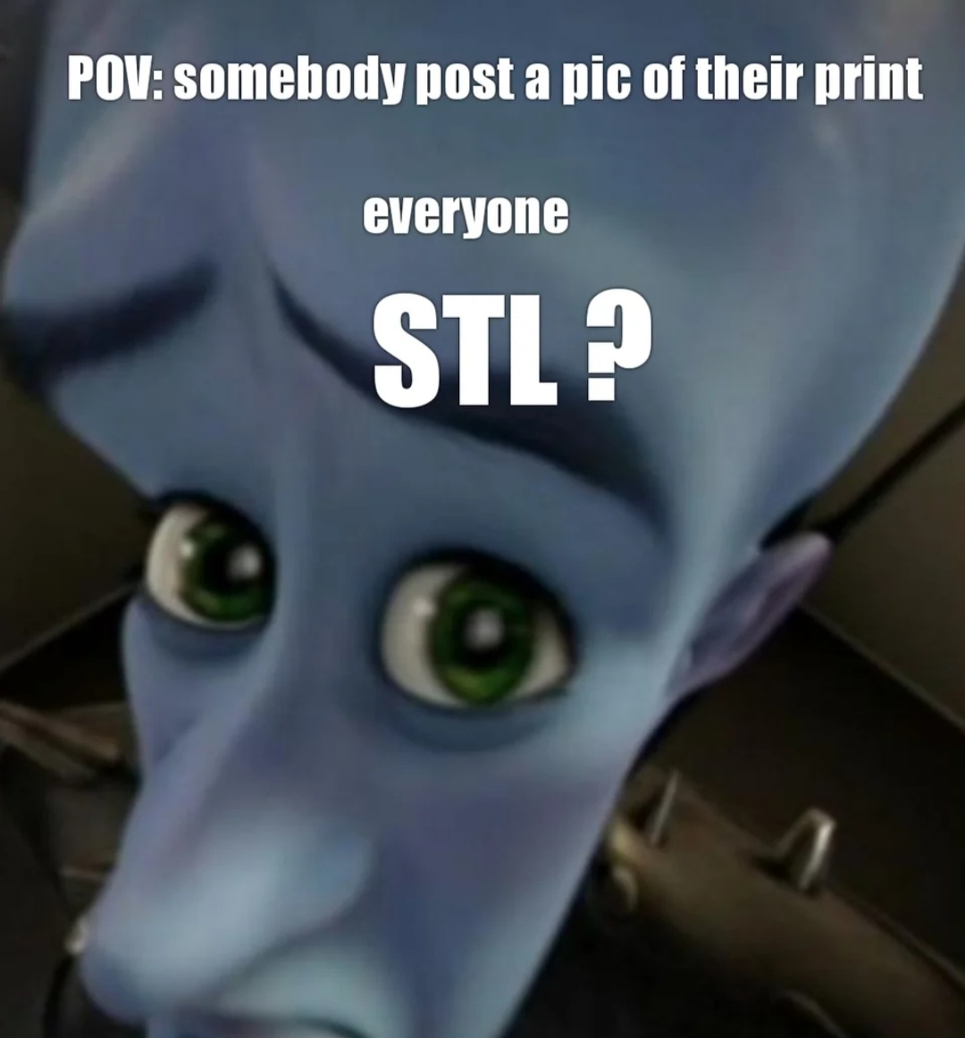 No stl meme by tomerCohen | Download free STL model | Printables.com