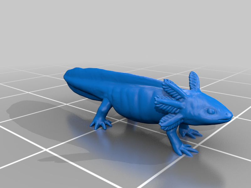 Adolescent Axolotl by UmbraViva | Download free STL model | Printables.com