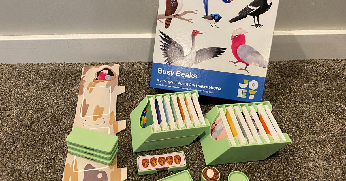 Busy Beaks Organizer by tjdesign | Download free STL model | Printables.com