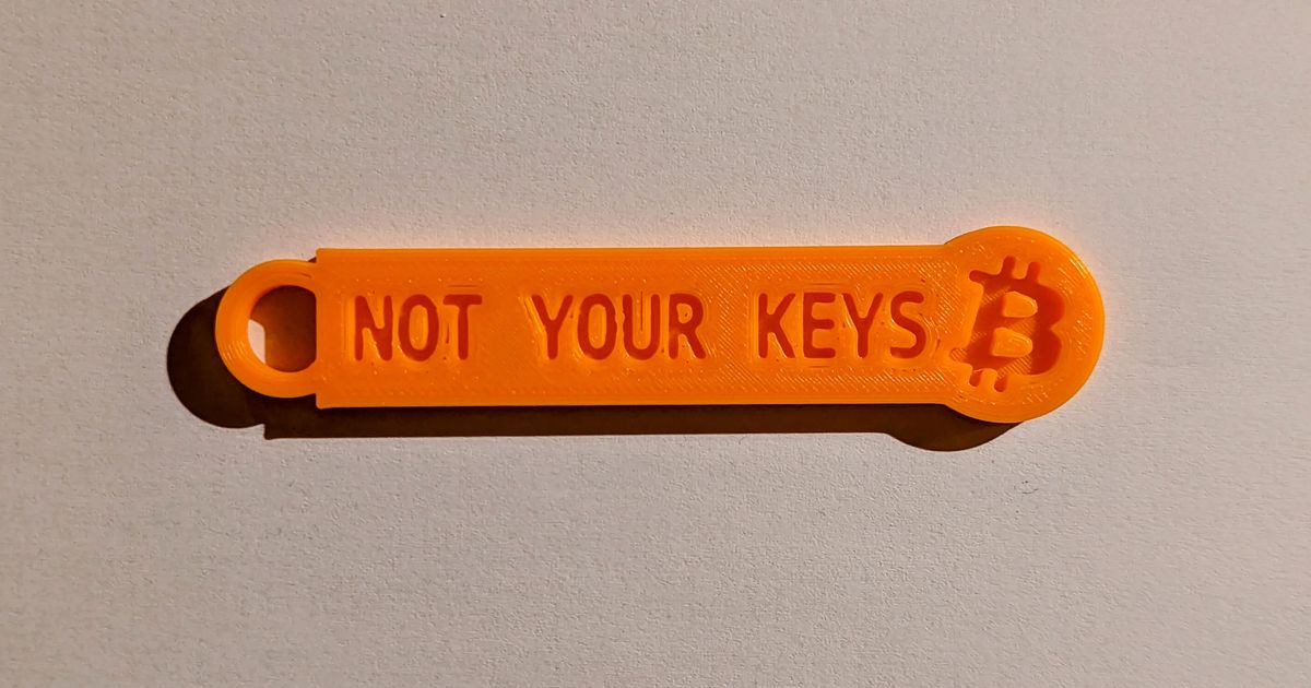 Bitcoin "Not Your Keys" Keychain by nyknyc | Download free STL model ...