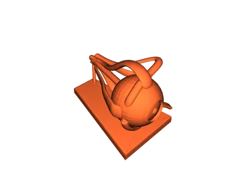Human eye anatomy by Andrei Dita | Download free STL model | Printables.com