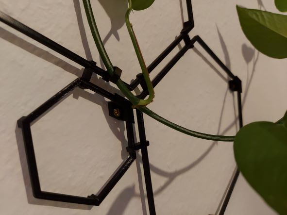 Hexagon Plant Guide by Fir3bug | Download free STL model | Printables.com
