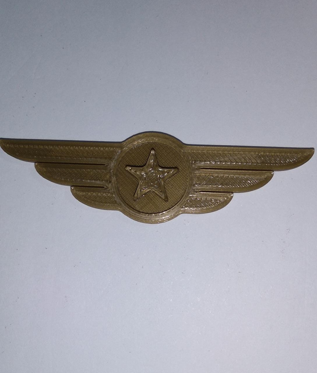 Pilot Badge by Printopolis3D | Download free STL model | Printables.com