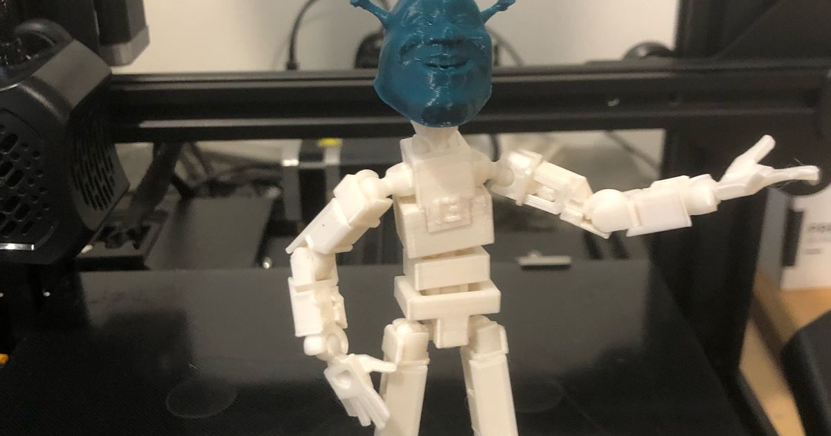 LUCKY 13 Shrek Head by LUNCHWARS | Download free STL model | Printables.com