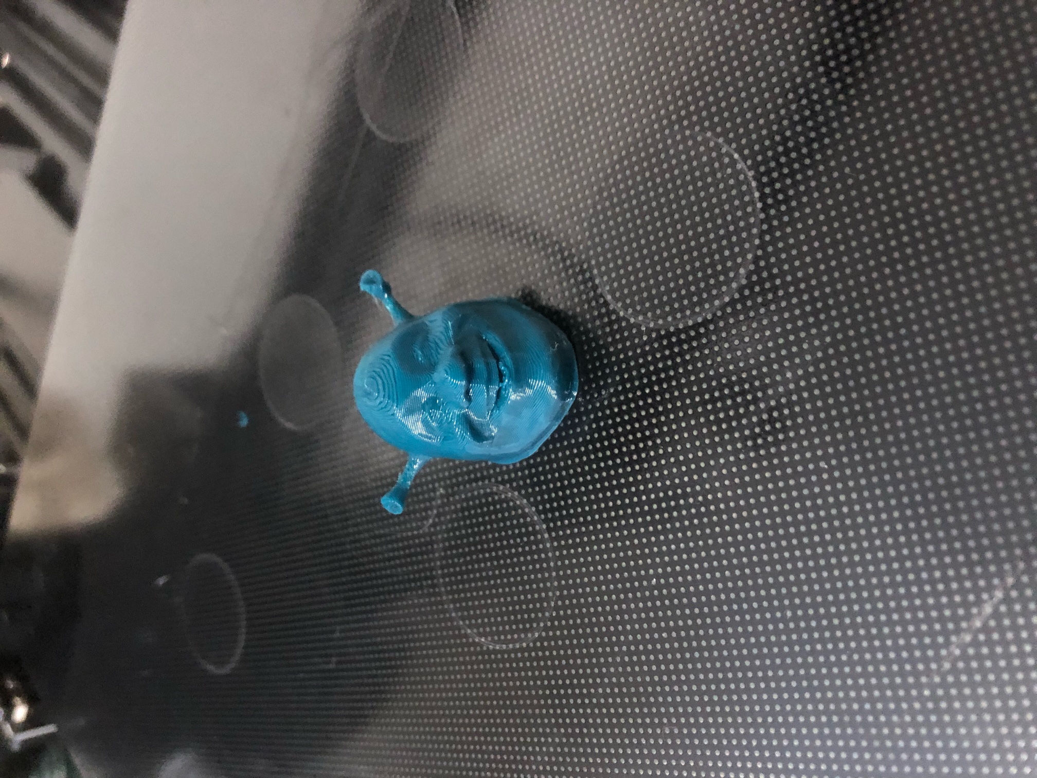 LUCKY 13 Shrek Head by LUNCHWARS | Download free STL model | Printables.com