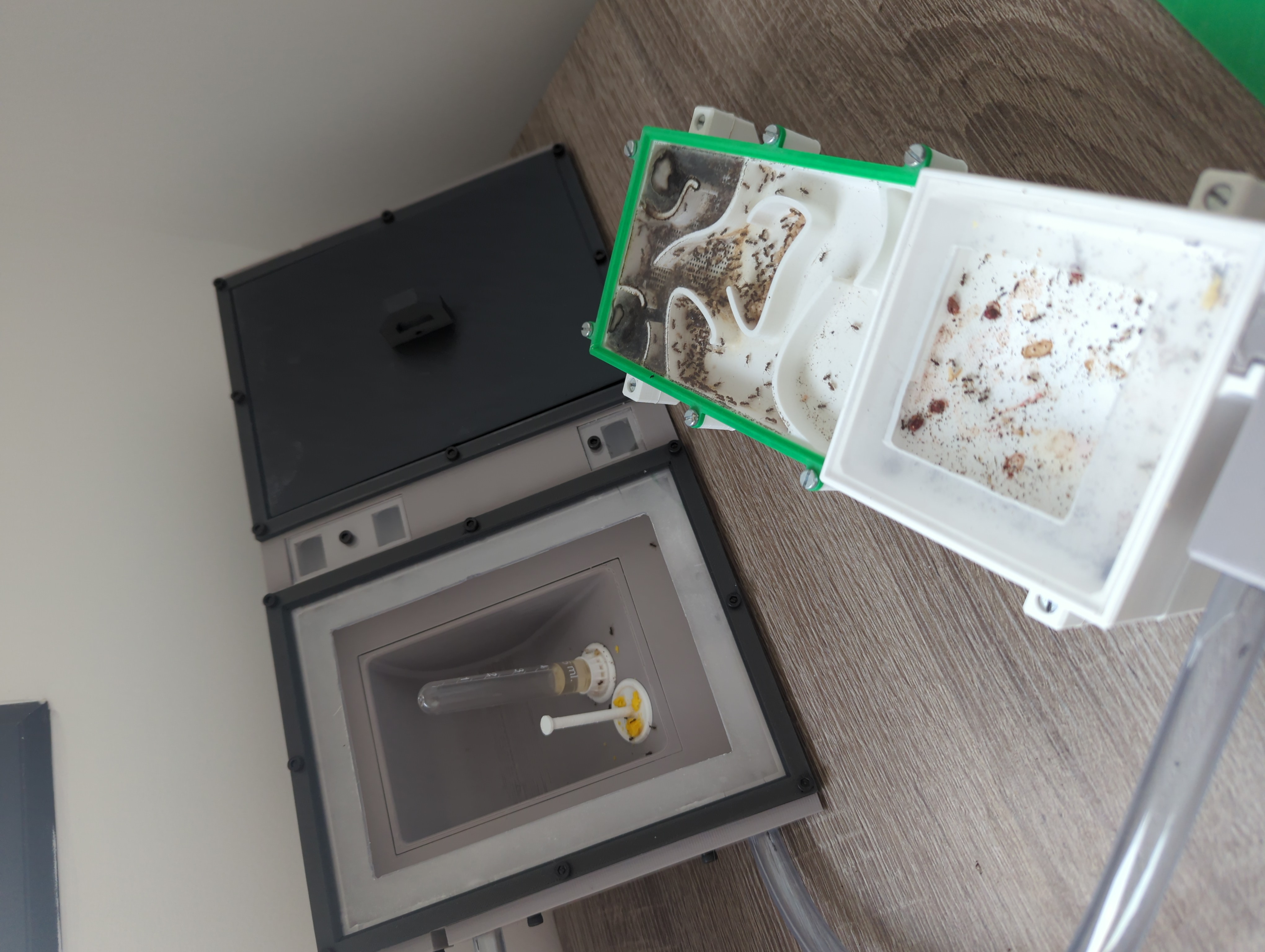 The Forty Five Formicarium par Trehan | Téléchargez gratuitement un ...