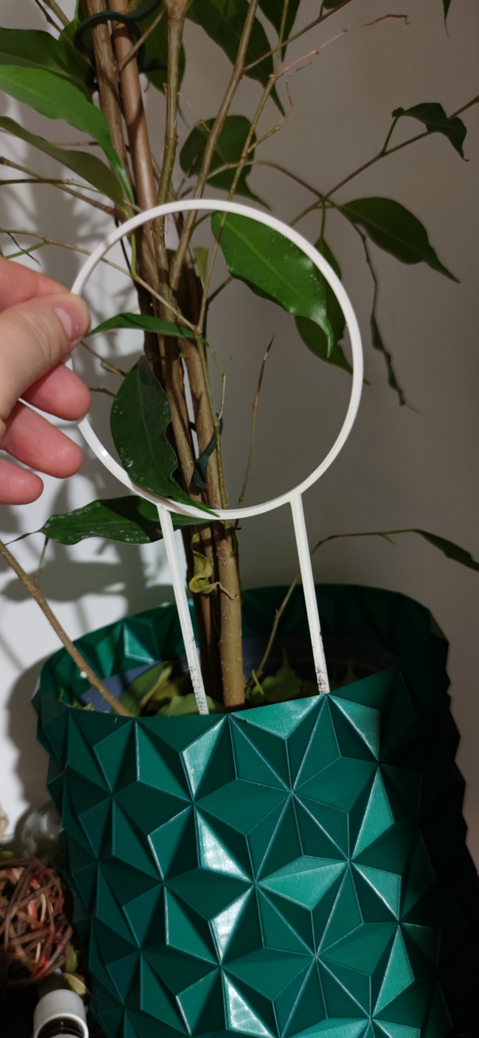 Simple Plant Support by Finisz | Download free STL model | Printables.com
