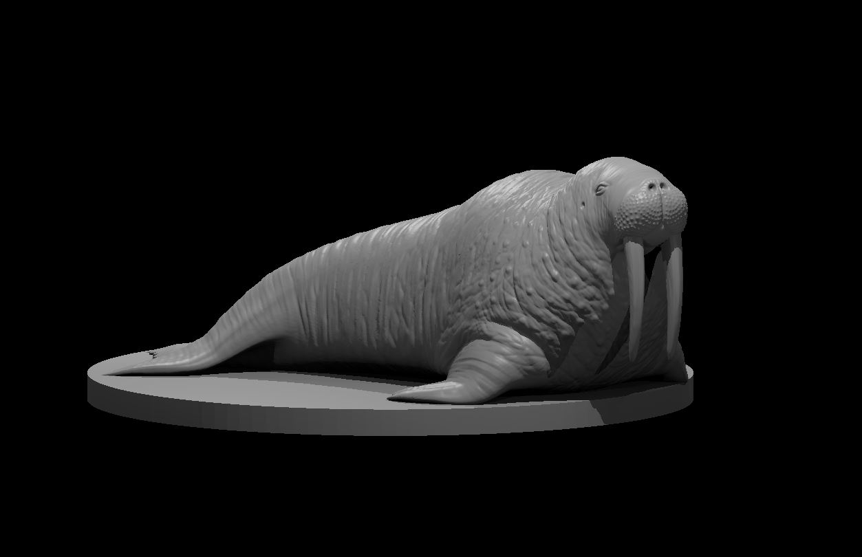 Walrus Mount, Walrus, and Dire Walrus by MZ4250 | Download free STL ...