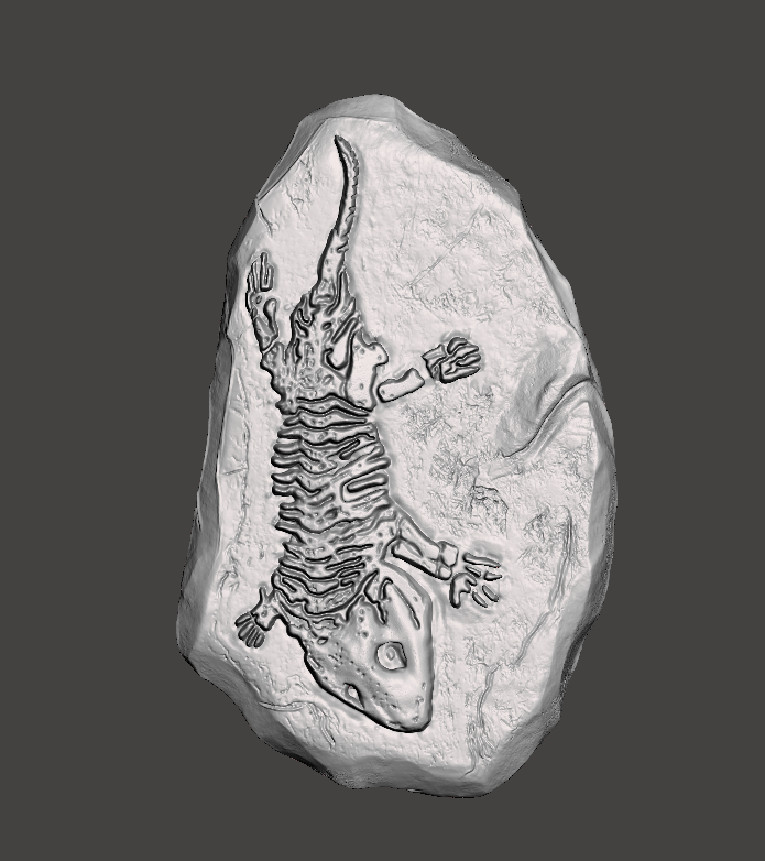 Lizard Fossil por Finnegan Storm | Descargar modelo STL gratuito ...