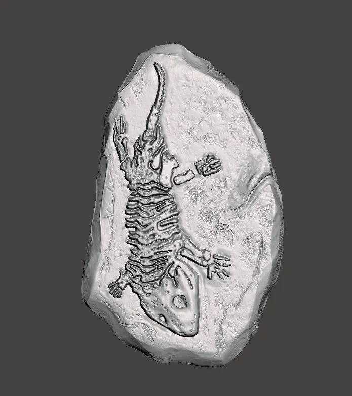 Lizard Fossil by Finnegan Storm | Download free STL model | Printables.com