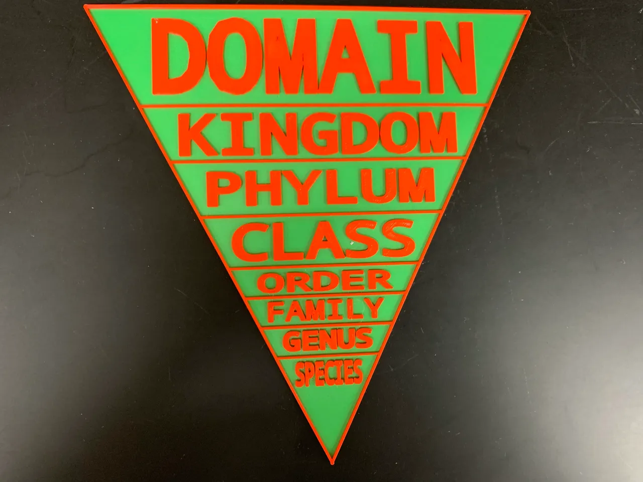 Animals With A Triangle Diagram