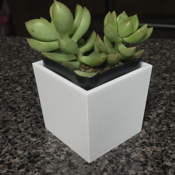 Simple Succulent Planter Holder by MylerMaker3D | Download free STL ...