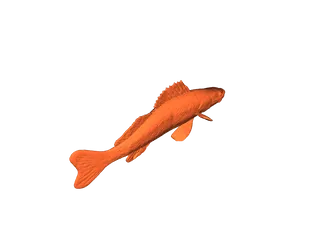 Walleye by Peter Farell | Download free STL model | Printables.com