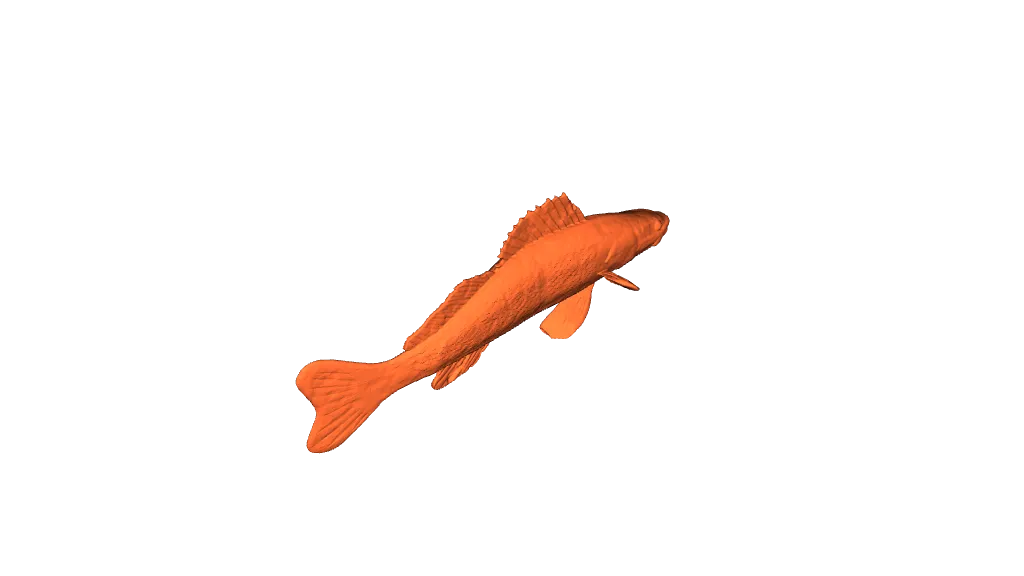 Walleye by Peter Farell | Download free STL model | Printables.com