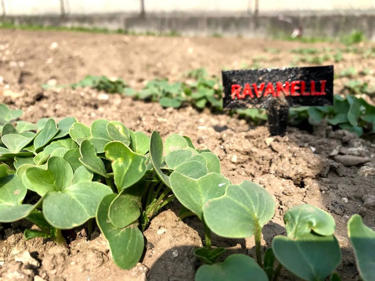 Garden Label by F | Download free STL model | Printables.com