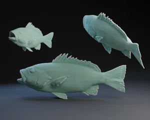 Snapper Trick Puzzle by Duffman | Download free STL model | Printables.com