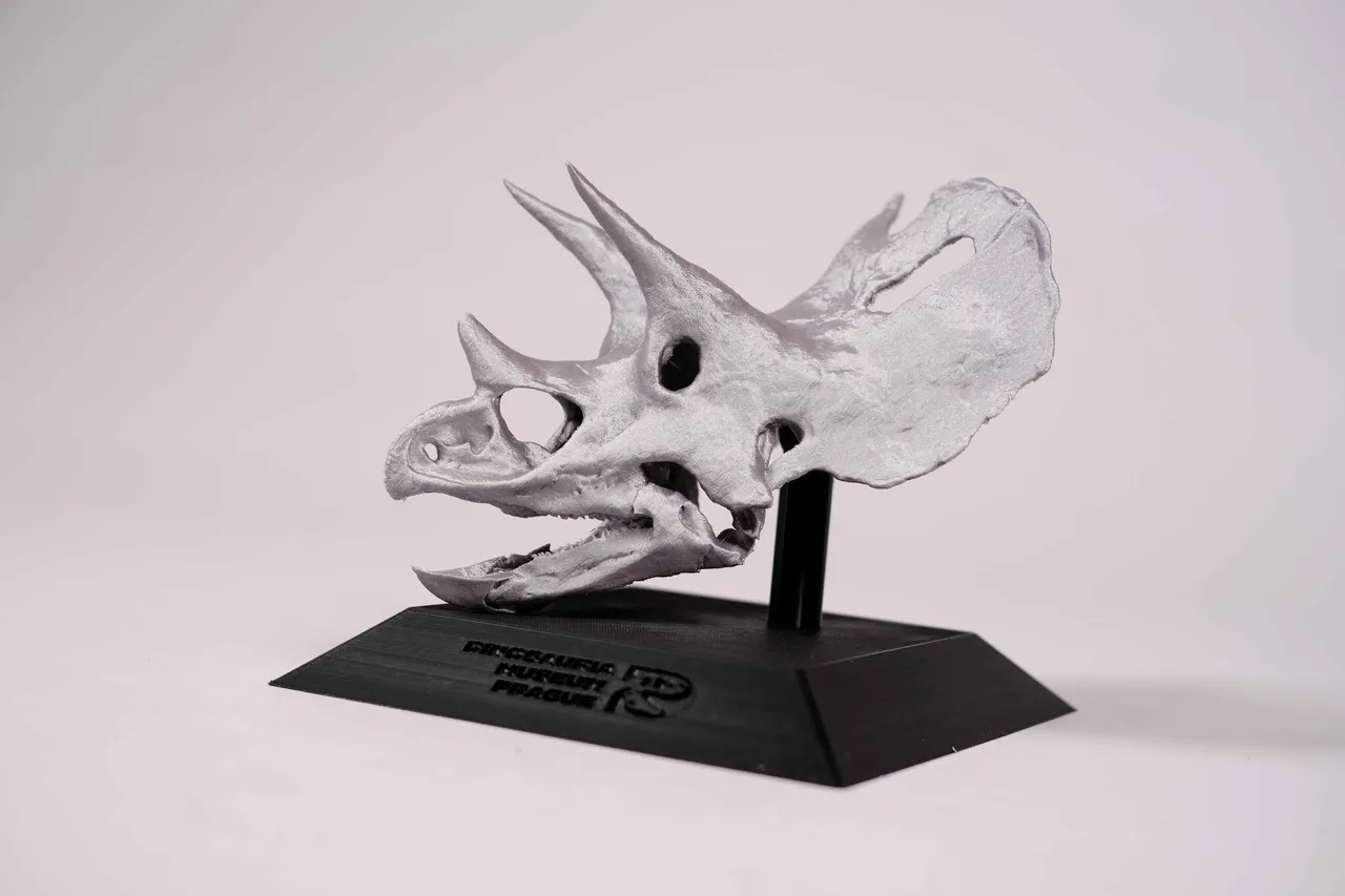 Triceratops Skull Stl