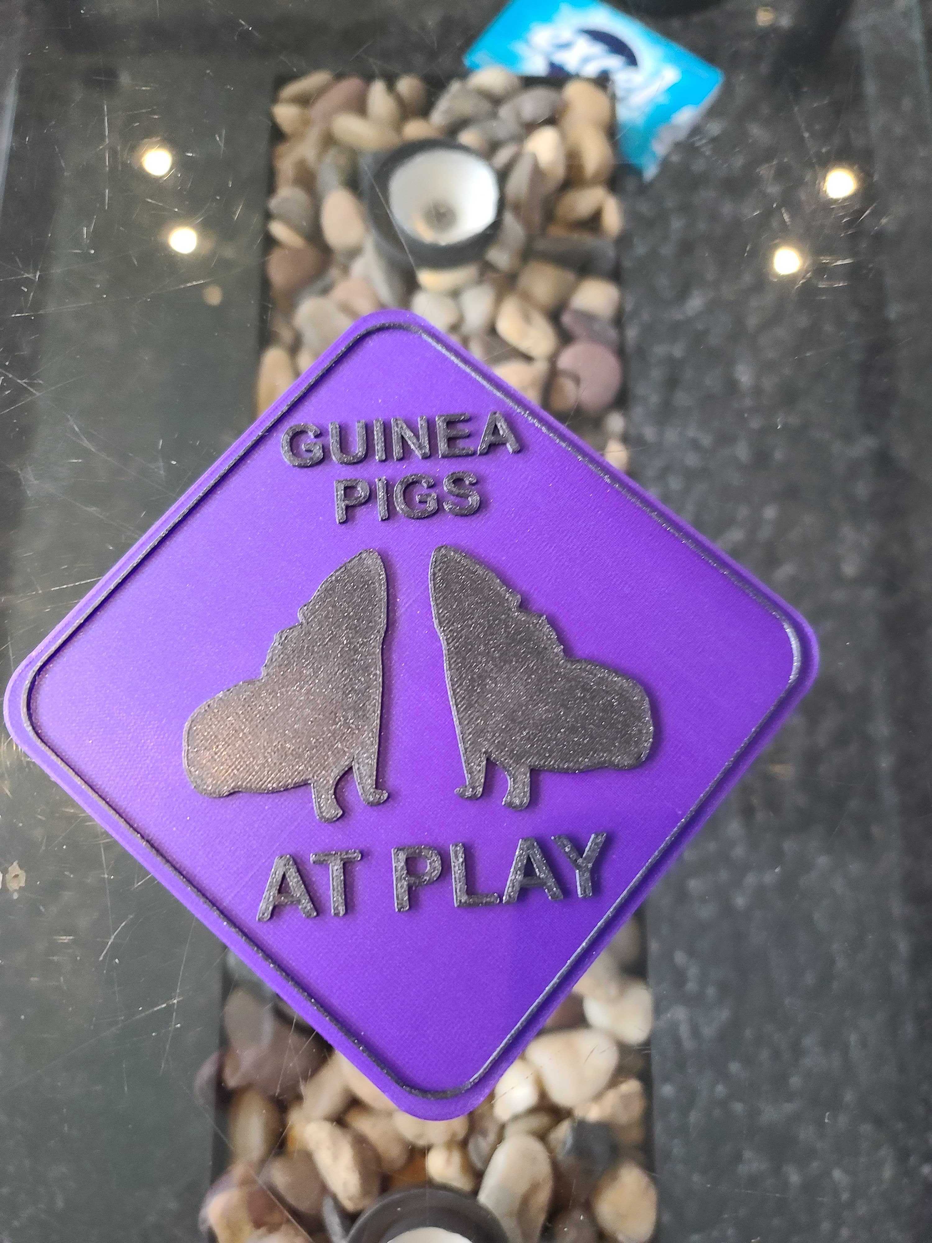 Guinea Pigs At Play Sign by Dave B | Download free STL model ...