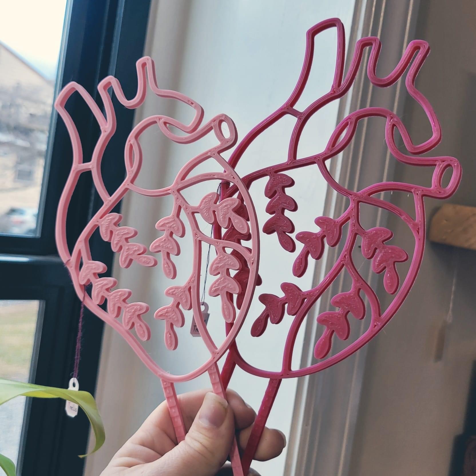 Anatomical Heart Trellis by NatureGoblin | Download free STL model ...