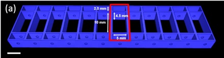 Channel system for epithelial micro-tissue array by Emmanuel Reynaud ...
