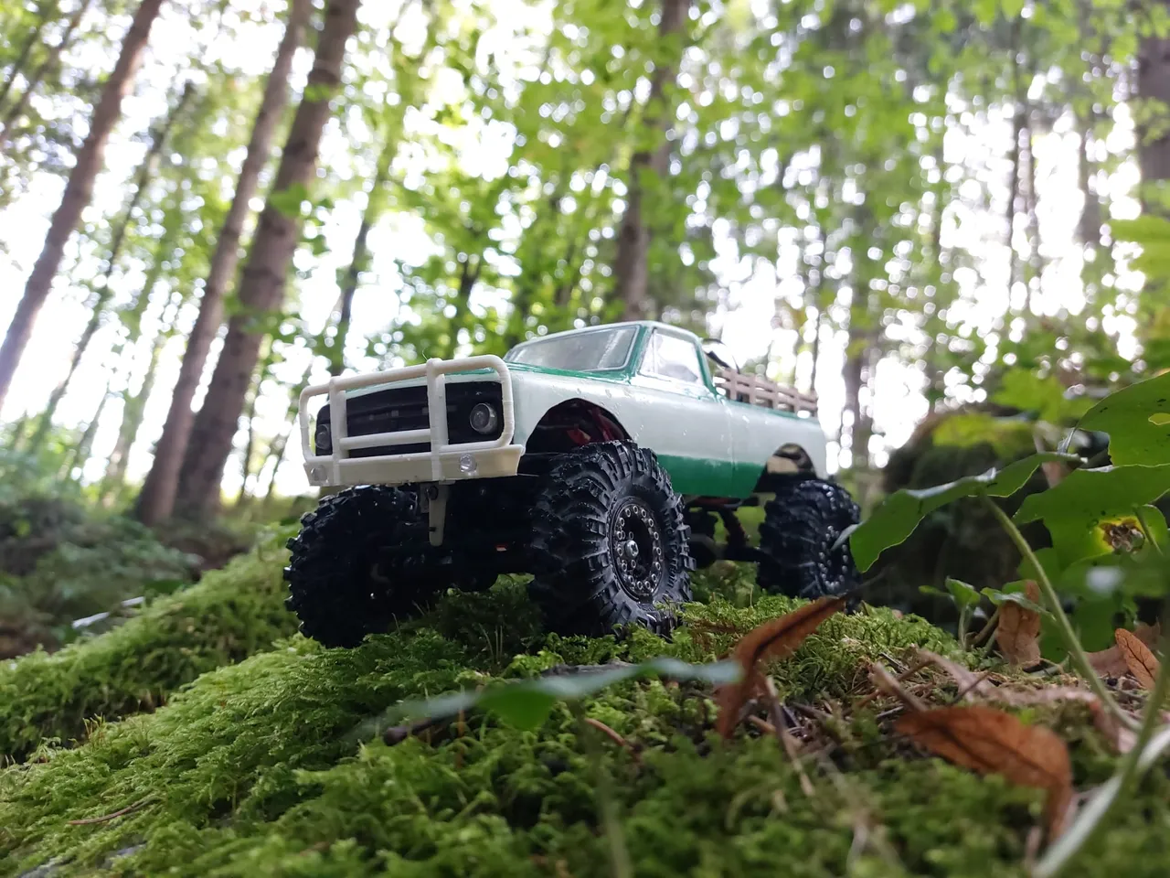Scx24 C10 Roof Rack by Matthias Gastager | Download free STL model ...