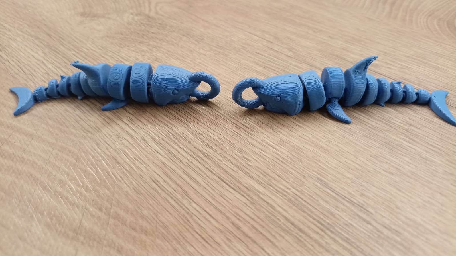 Curled Shark - keychain by B o |3 |3 0 | Download free STL model ...