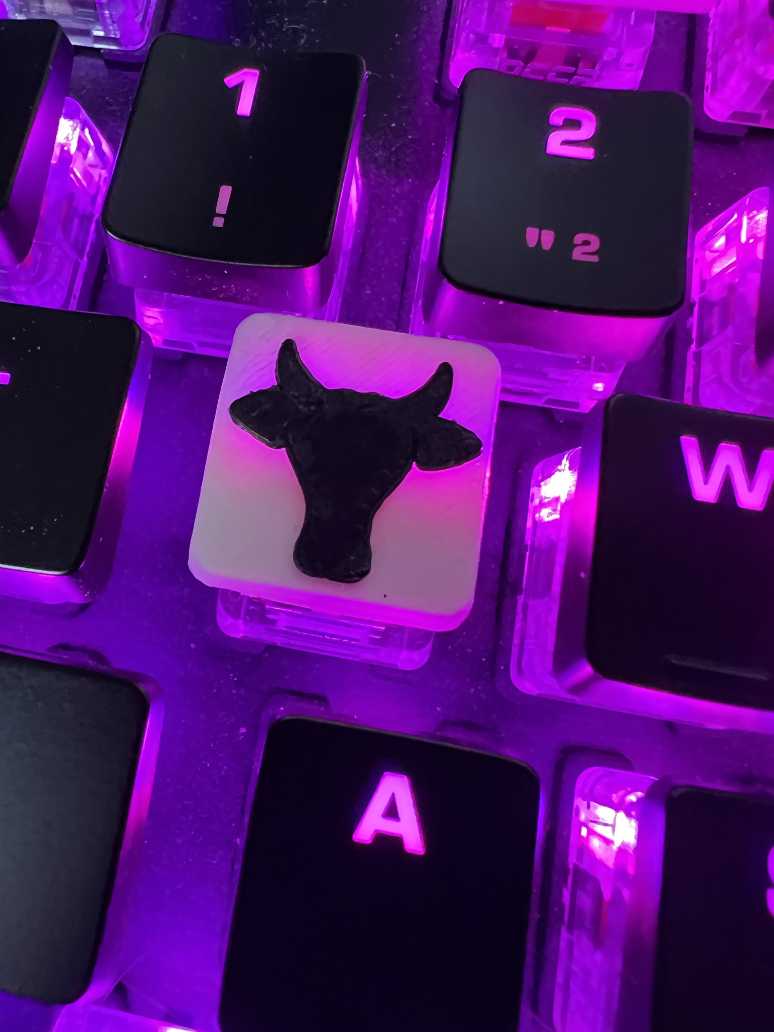 Q (Kuh) Taste (Cow Key Cap) by Robtimus | Download free STL model ...