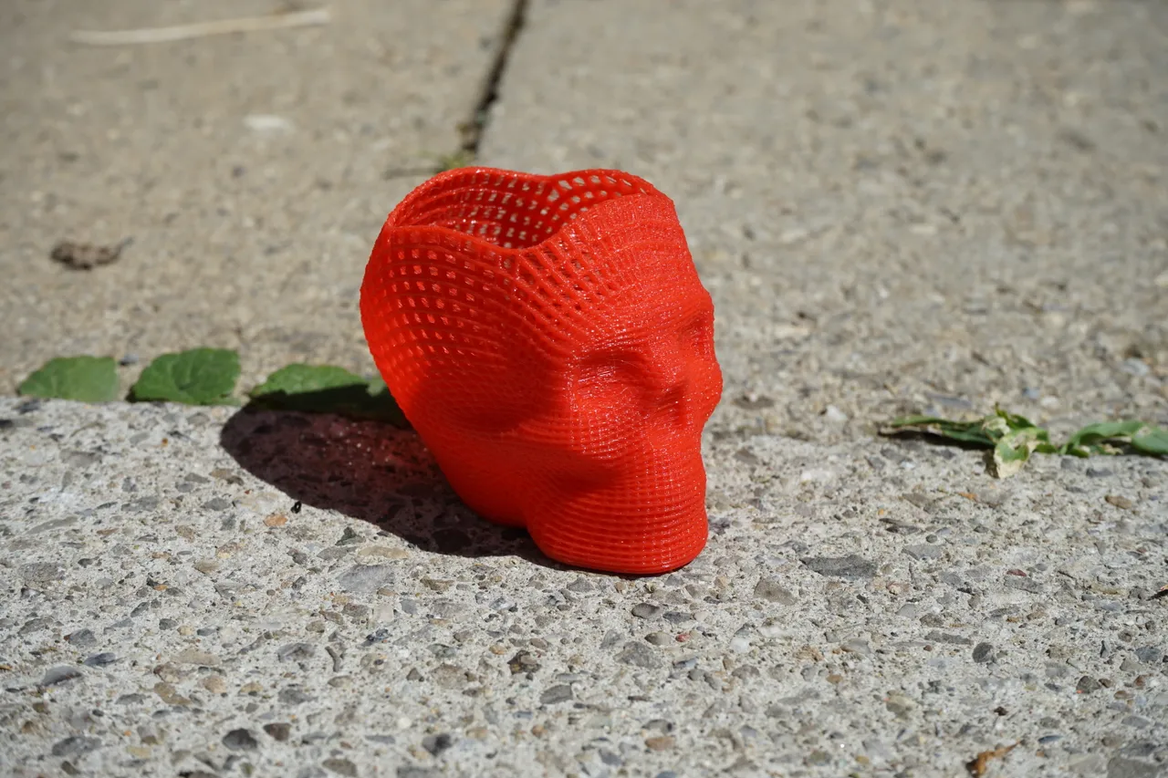 Wireframe skull by ZEUS_0815 | Download free STL model | Printables.com