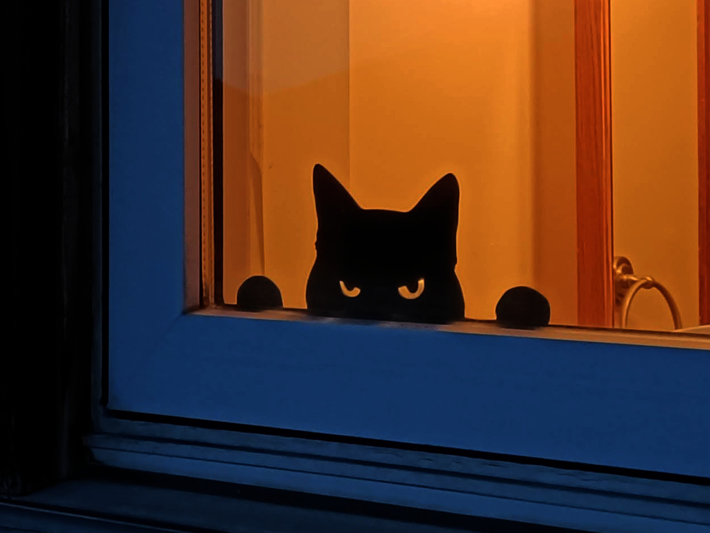 Angry Guard Cat by Lyl3 | Download free STL model | Printables.com