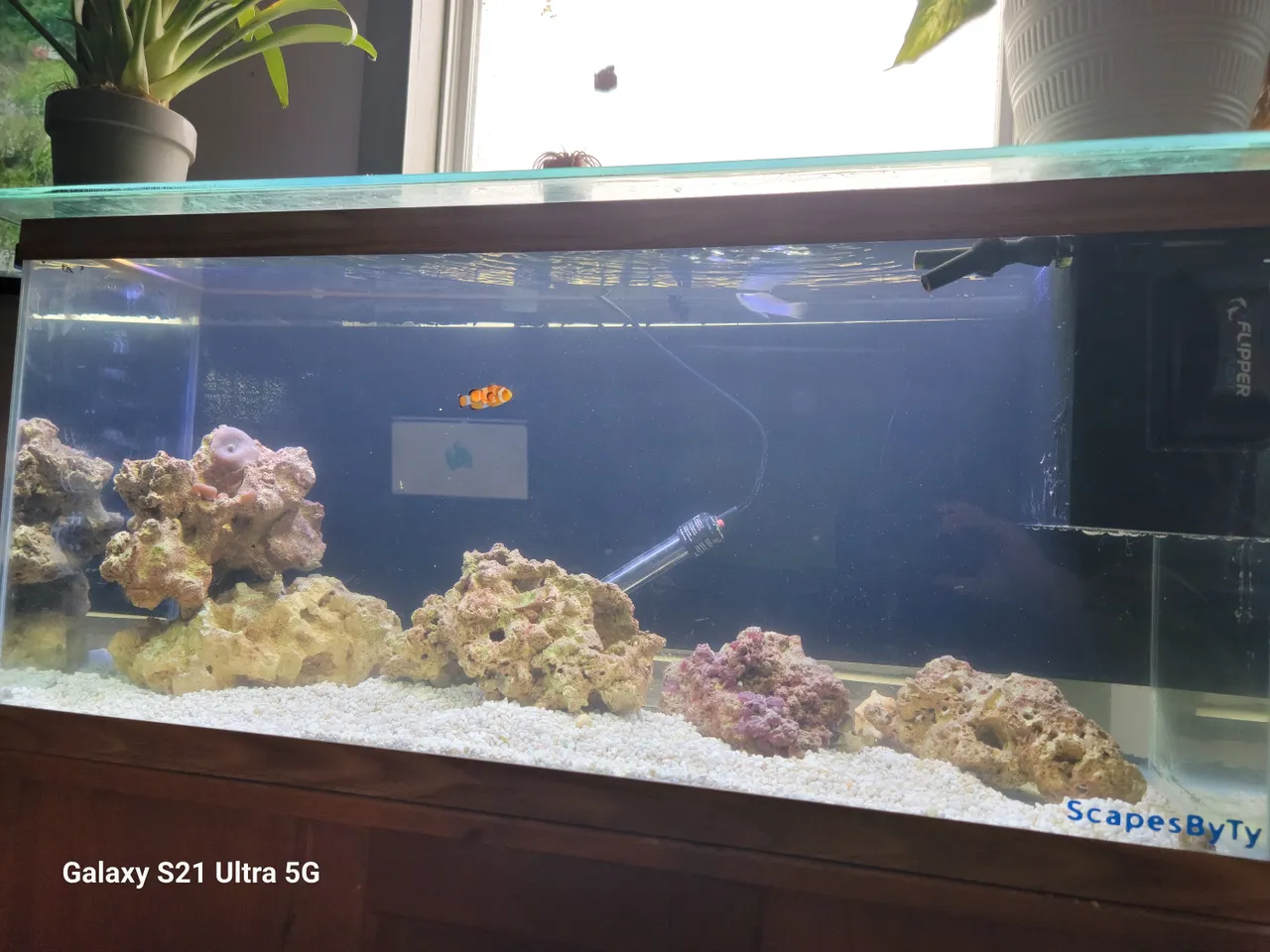 30-120 Gallon Dual Chamber In-Tank Sump by ItsTyIRL | Download free STL ...