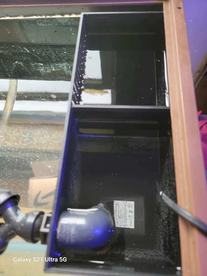 30-120 Gallon Dual Chamber In-Tank Sump by ItsTyIRL | Download free STL ...