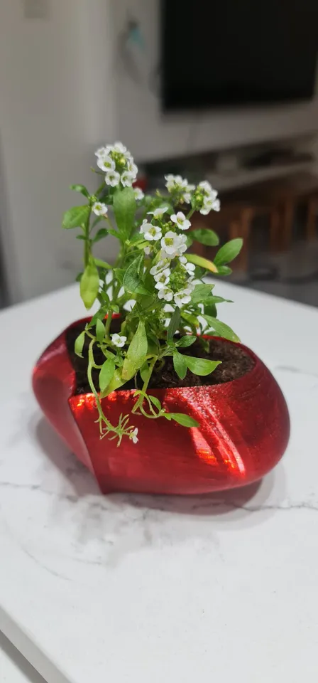 Heart pot by Abdallh Herbawe | Download free STL model | Printables.com