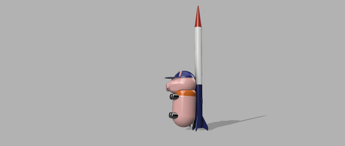 Beanie Hat Flying Pig and with rocket by Tom Anderson (The Real NEO ...