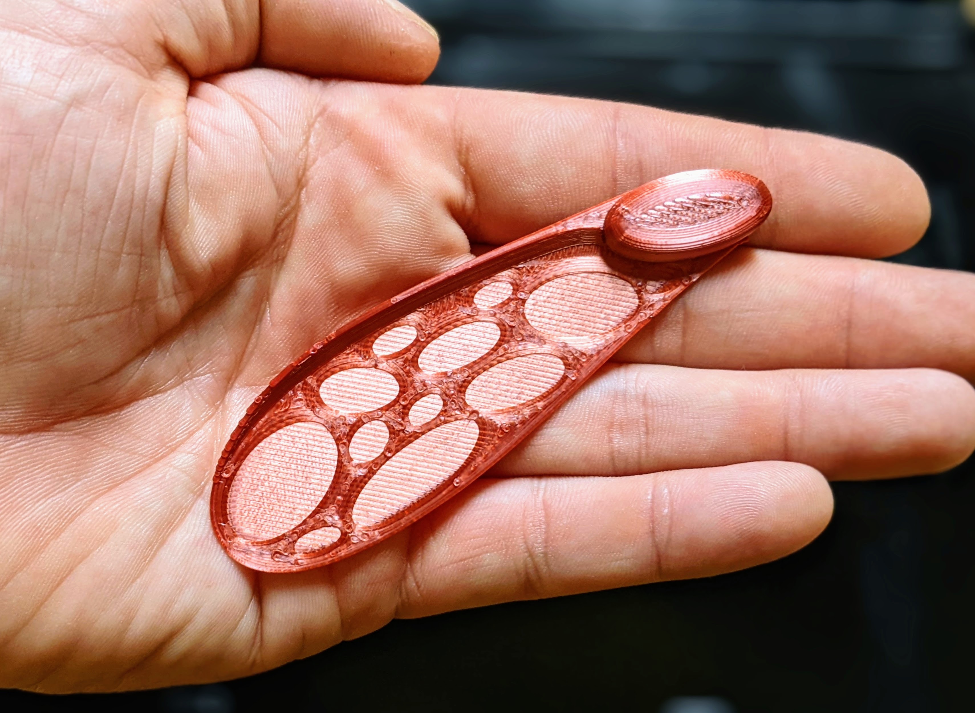 Nature's Helicopter - 2.5gm Maple Leaf Seed Pod by Grandpa | Download ... Nature's Helicopter - 2.5gm Maple Leaf Seed Pod by Grandpa | Download ...