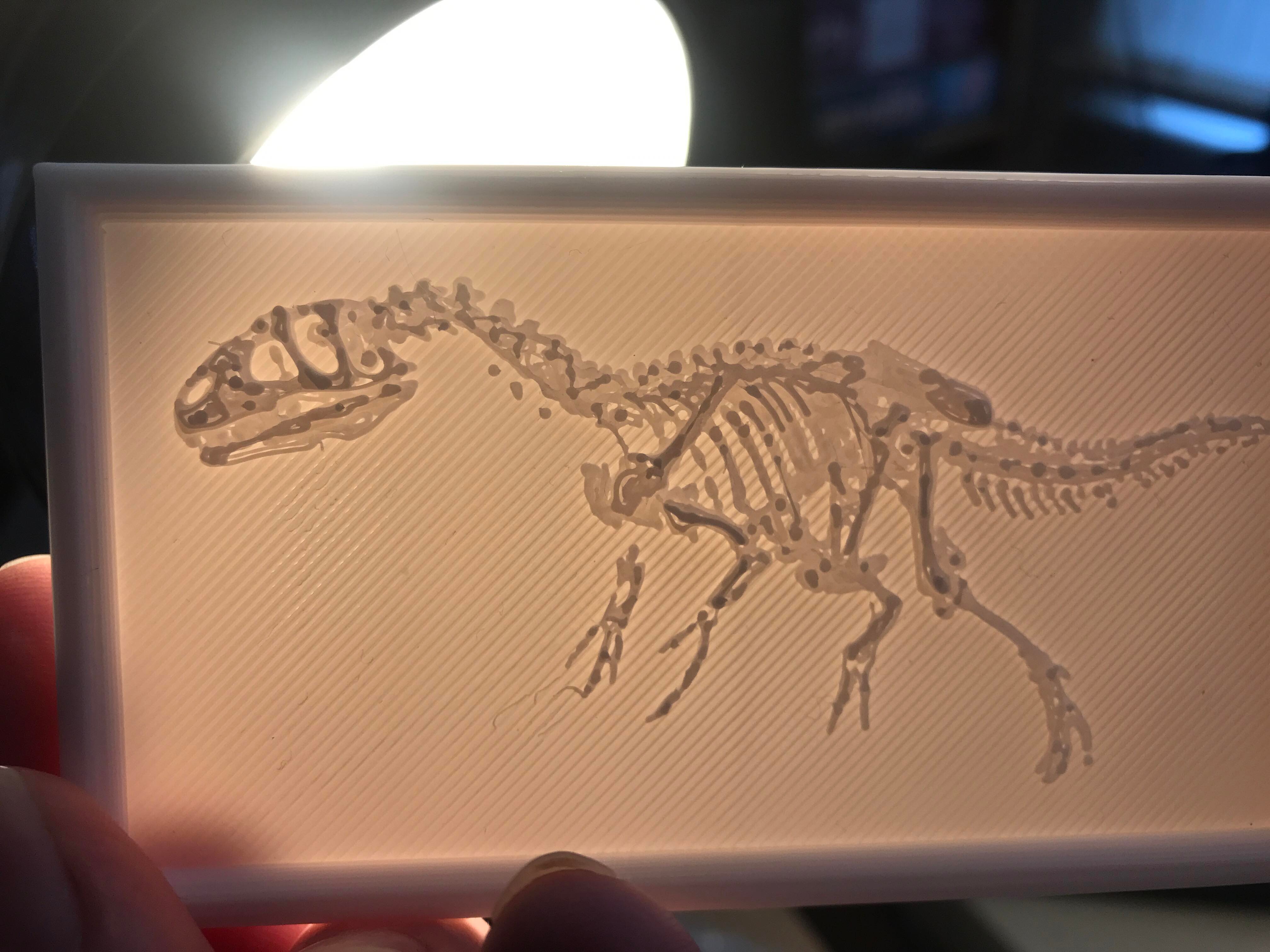 T. rex dino fossil Relief litho by MattGerman | Download free STL model ...