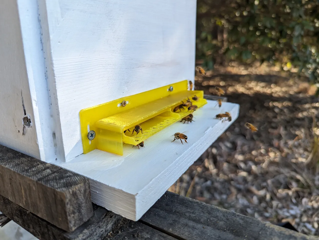 Bee Hive Entrance small and large by d_worms | Download free STL model ...