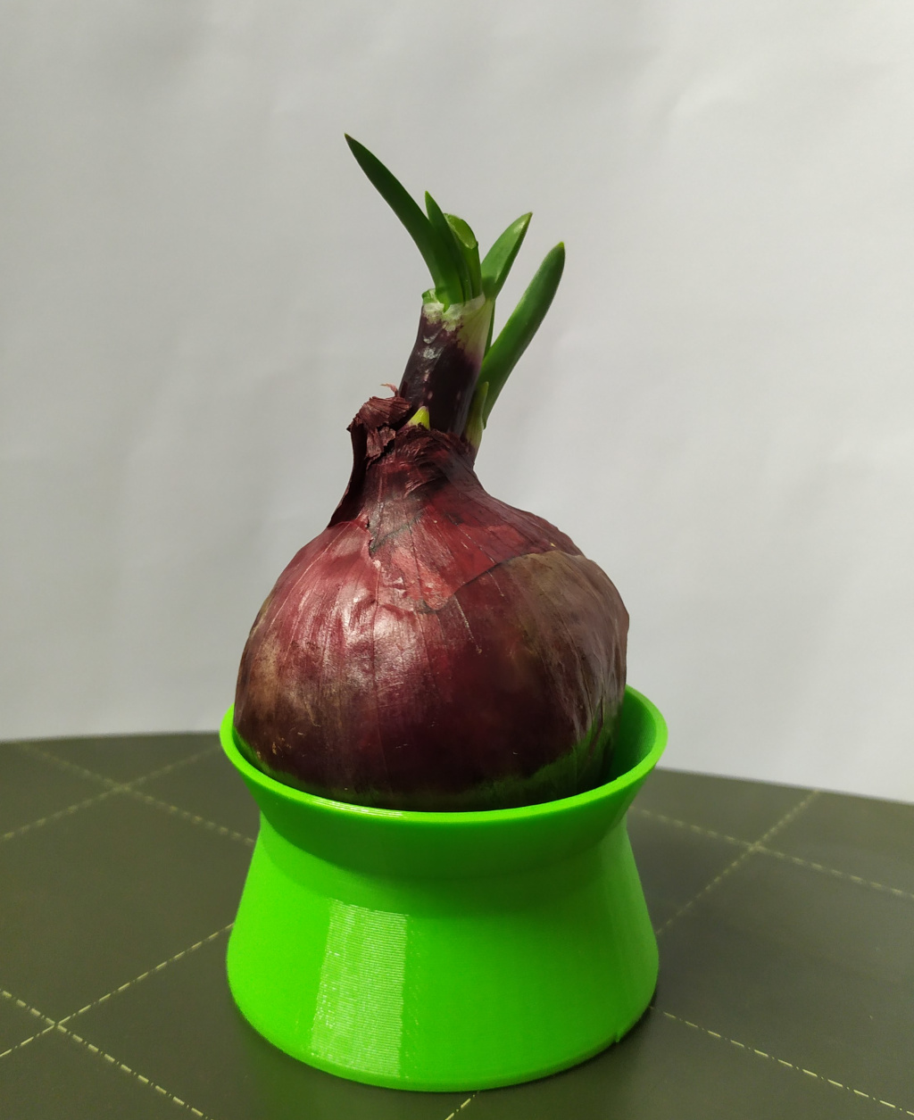 Cibuľa - nádobka by peter_s | Download free STL model | Printables.com