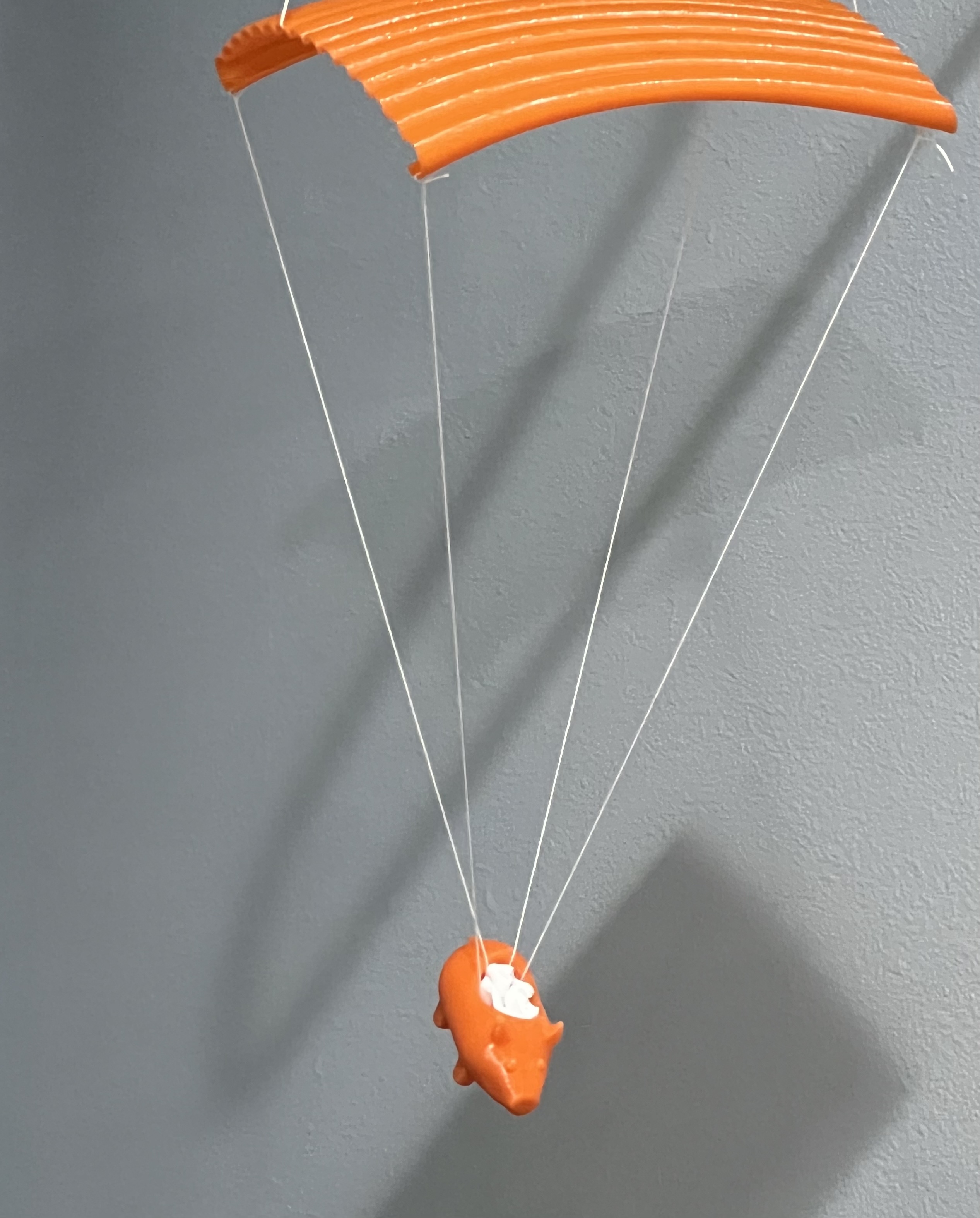 Parasailing Pig by Tom Anderson (The Real NEO) | Download free STL ...