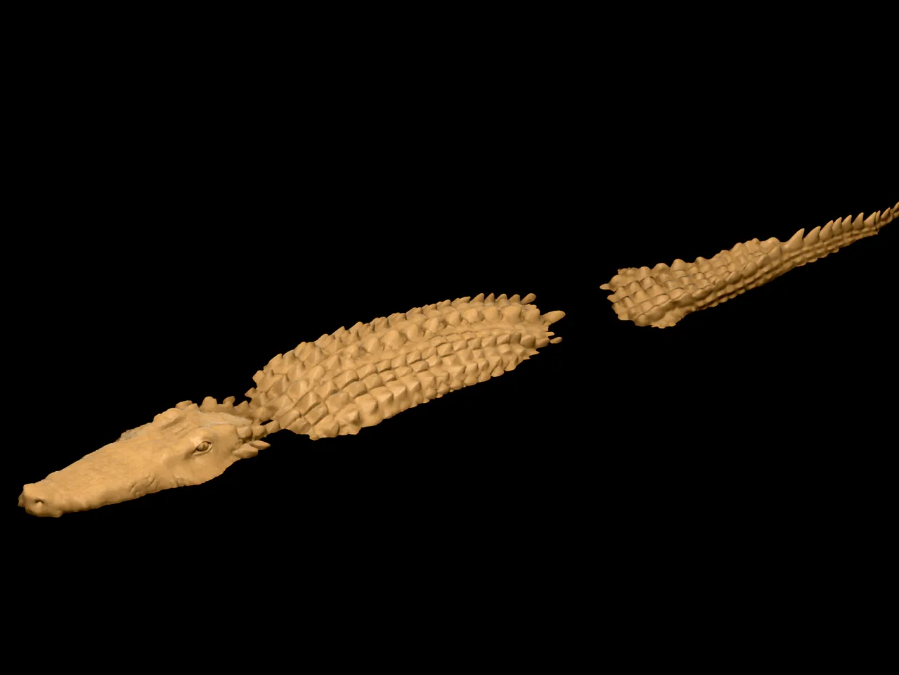 Crocodile by Leonid Babarinow | Download free STL model | Printables.com