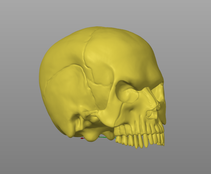 Evil Head by Handica | Download free STL model | Printables.com